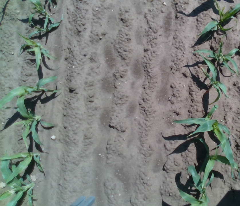 Data – AgRobotics